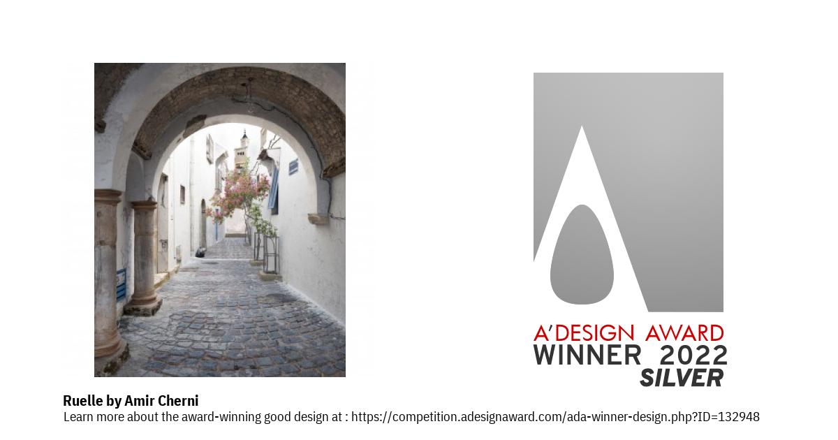 Ruelle 3D Visualization by Amir Cherni